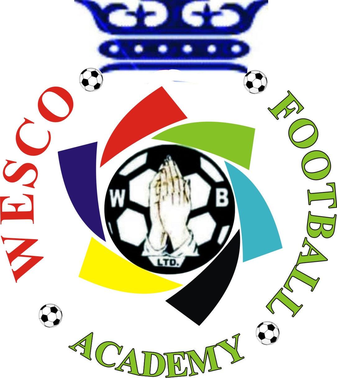 Home - APFAN OG (Ogun State Chapter)